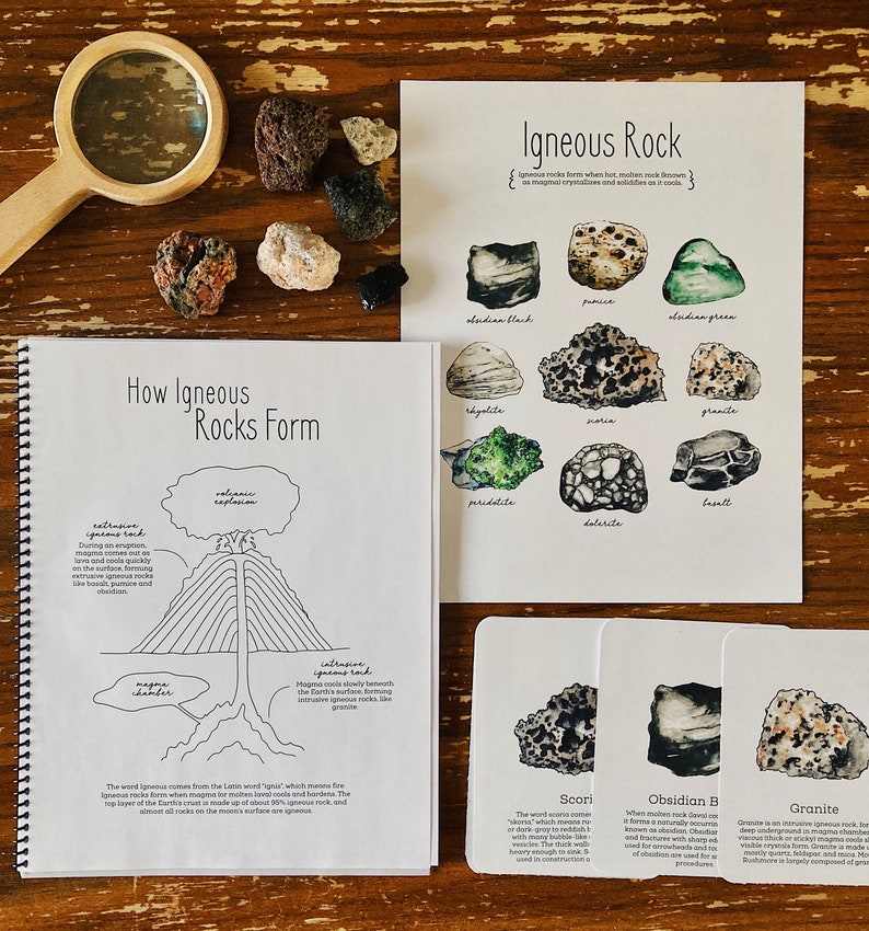 Rocks + Minerals Journal - Etsy