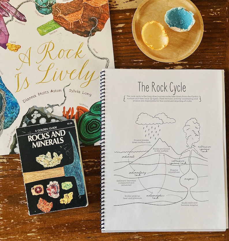 Rocks + Minerals Journal - Etsy