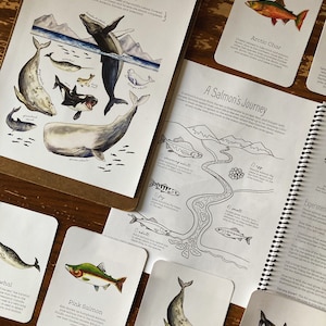 Arctic Ocean Mini Unit - Charlotte Mason Nature Study Homeschool ...