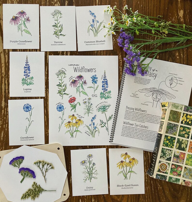 SUMMER Journal Homeschool Printable Charlotte Mason Nature - Etsy