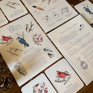 UPDATED: Birds of Winter Mini Nature Study Pack - Charlotte Mason ...