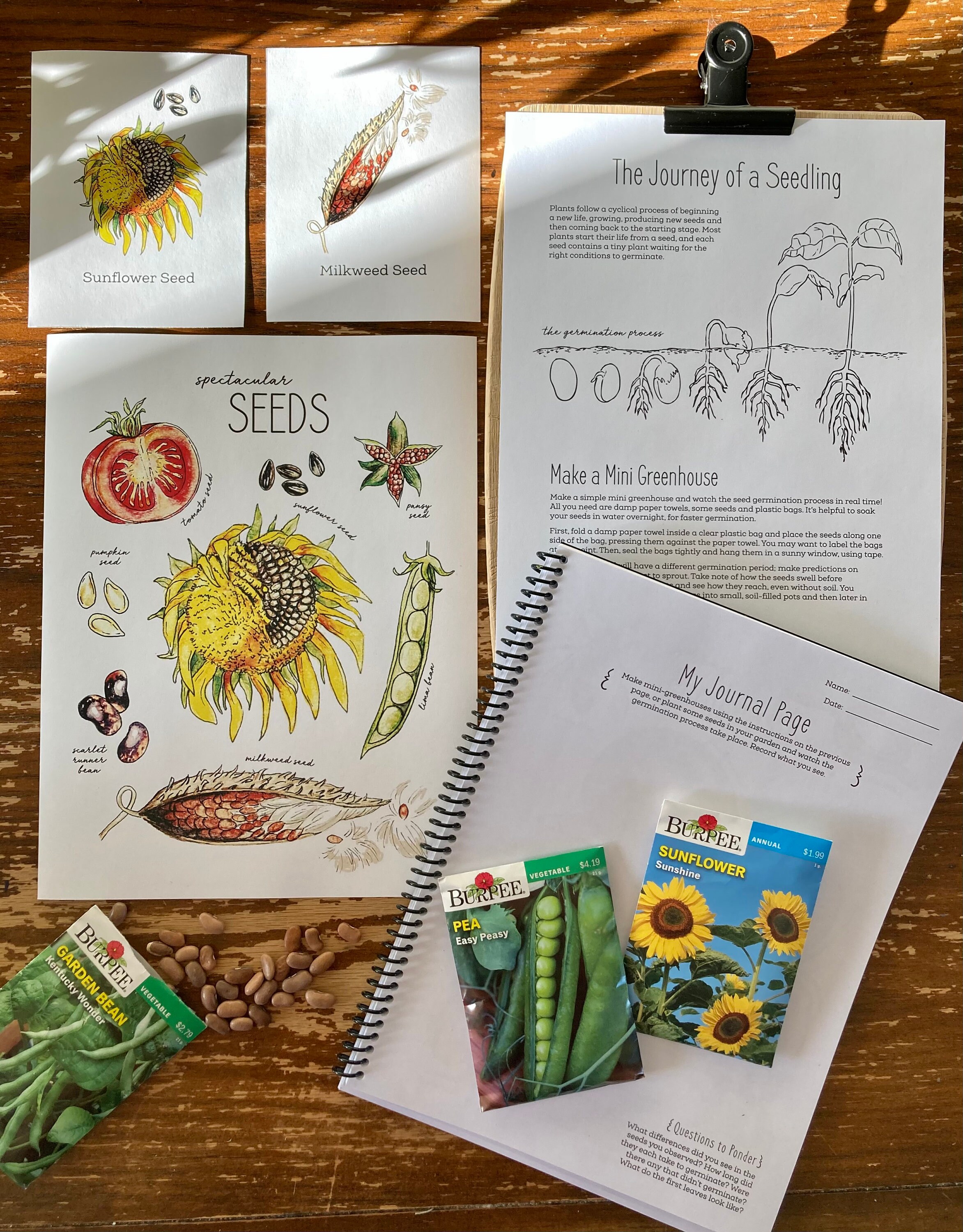 Nature Journal BUNDLE - Etsy Canada