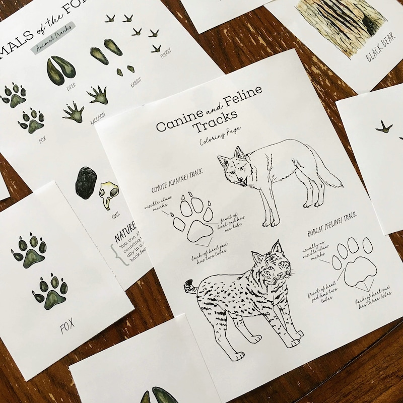 Animal Tracks - Etsy