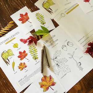 THE FOREST Nature Journal - Charlotte Mason Homeschool Printable Nature ...