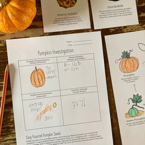 NEW! Pumpkin Nature Study - Etsy