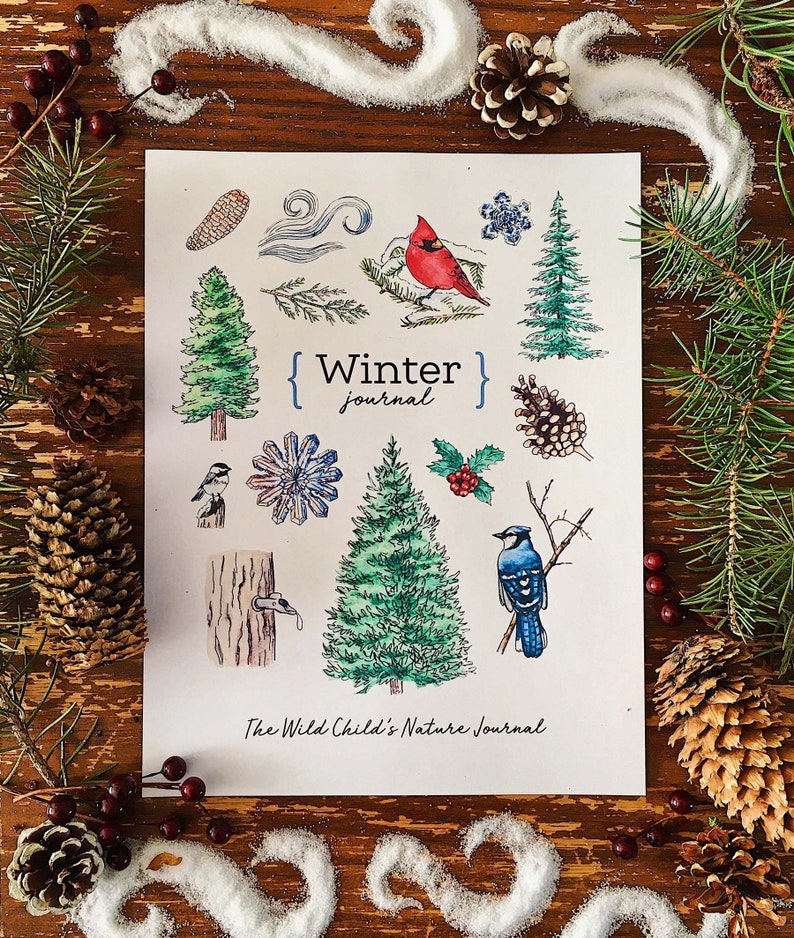 Winter Learning Bundle - Unit Study, Nature Study, Charlotte Mason - Etsy