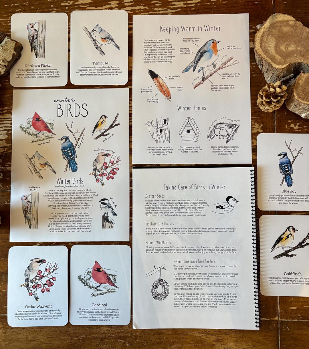 UPDATED: Birds of Winter Mini Nature Study Pack - Charlotte Mason ...