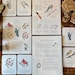 UPDATED: Birds of Winter Mini Nature Study Pack - Charlotte Mason ...