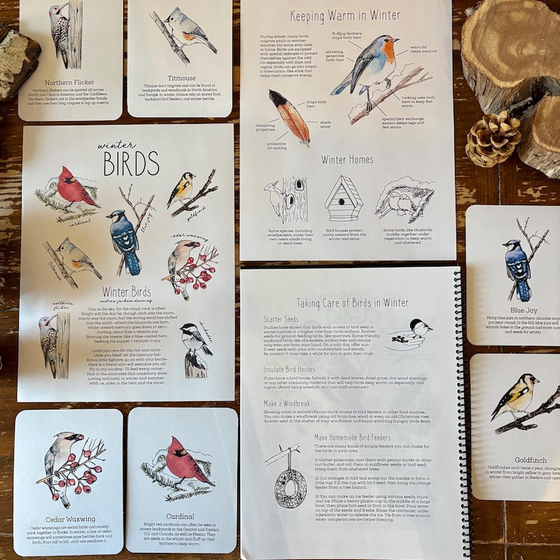 Bird Study - Etsy