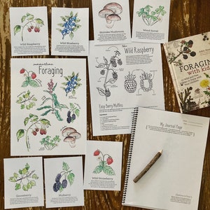 SUMMER Journal - Homeschool Printable Charlotte Mason Nature Study - Etsy