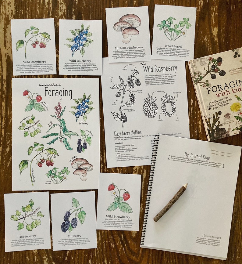 SUMMER Journal Homeschool Printable Charlotte Mason Nature - Etsy