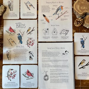 WINTER Journal - Homeschool Printable Charlotte Mason Nature Study - Etsy