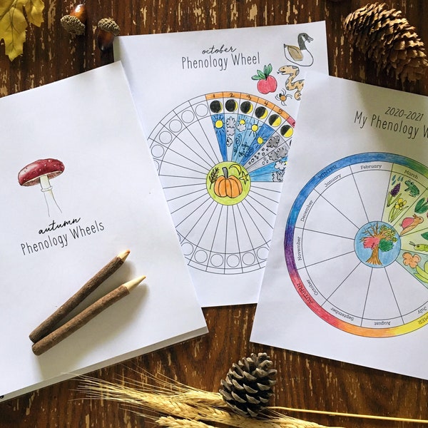 Phenology Wheel Template - Etsy
