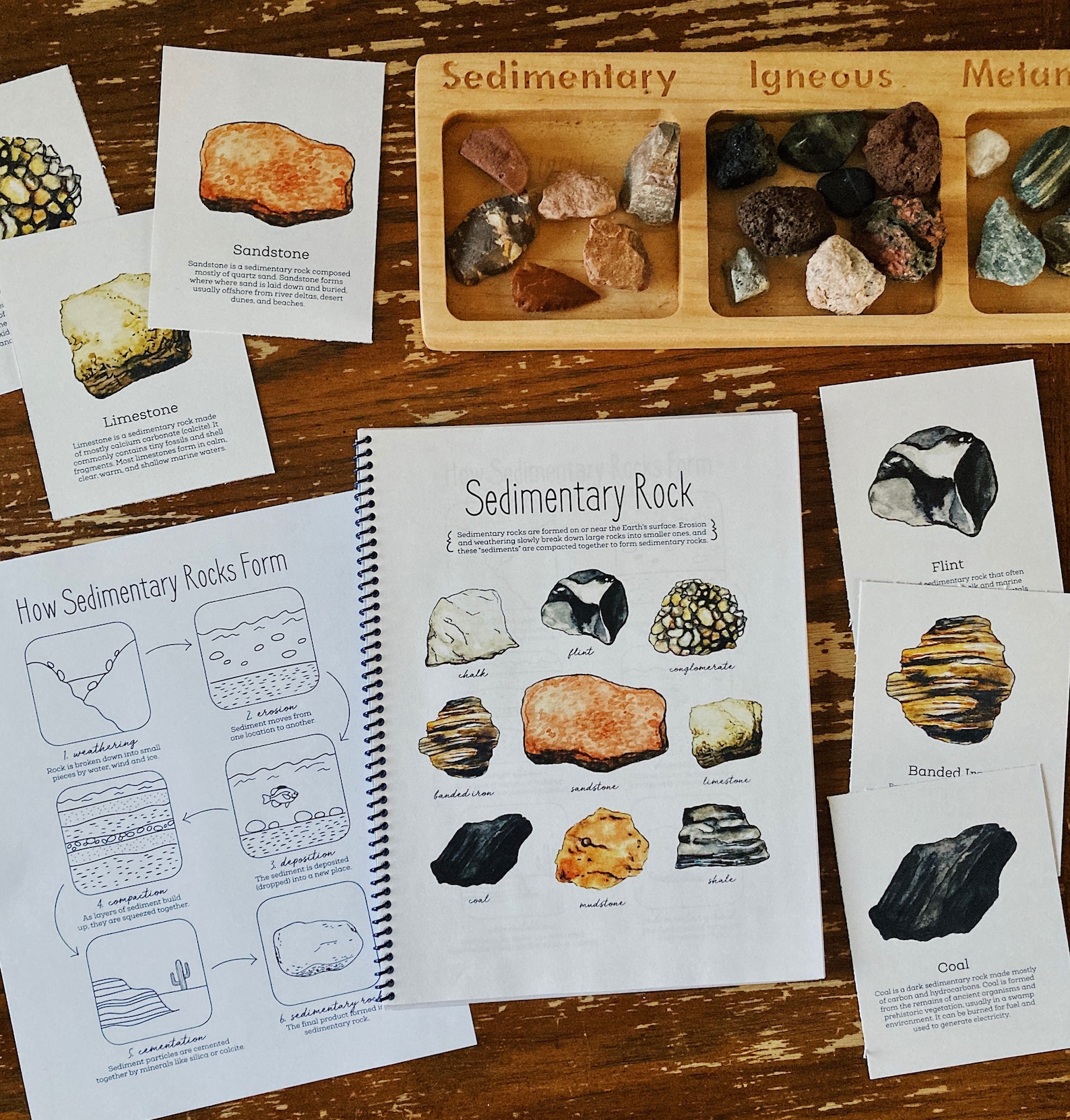 Rocks + Minerals Journal - Etsy