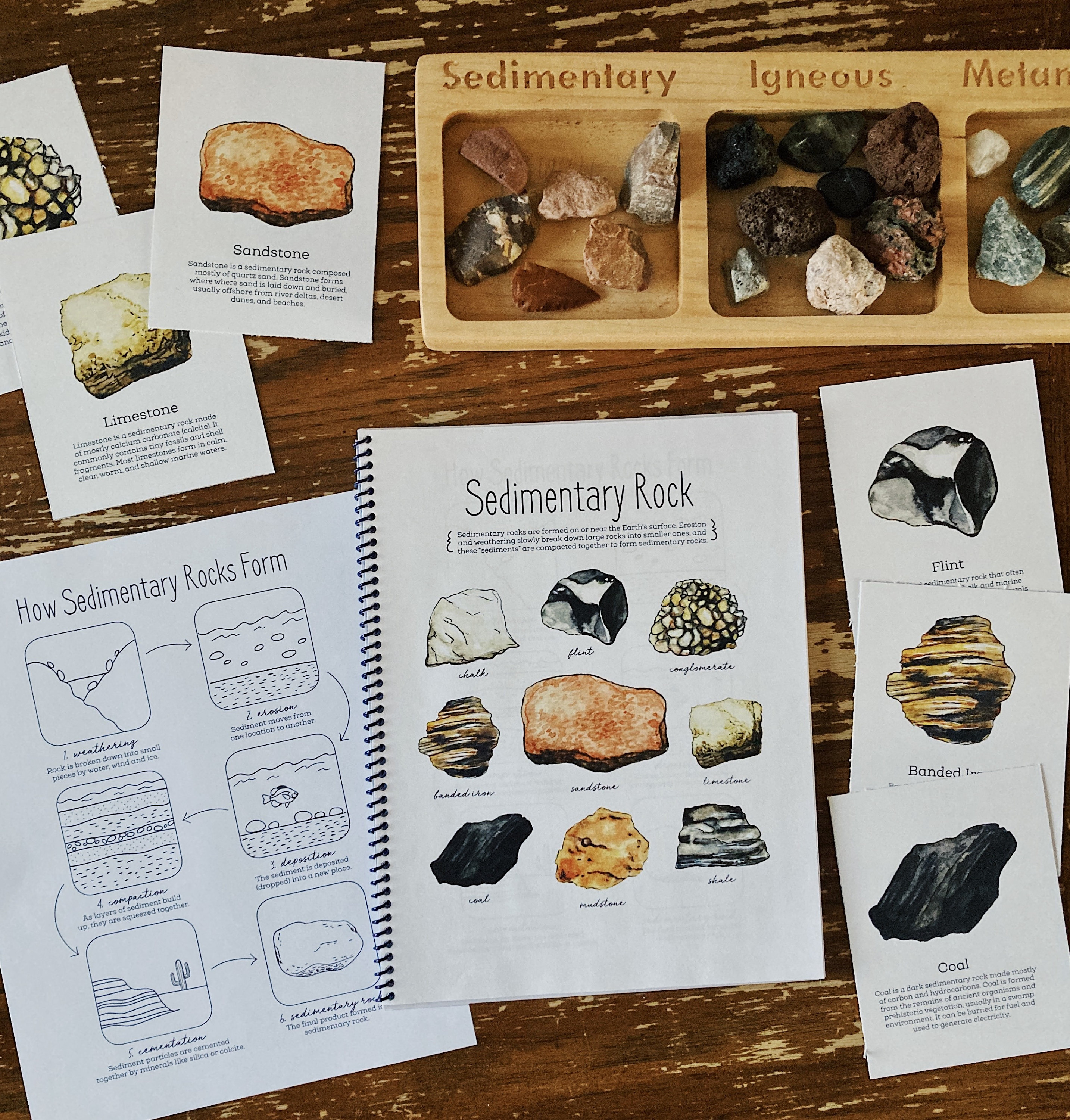 Rocks + Minerals Journal - Etsy