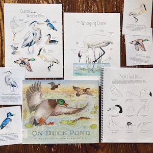 SUMMER Journal - Homeschool Printable Charlotte Mason Nature Study - Etsy