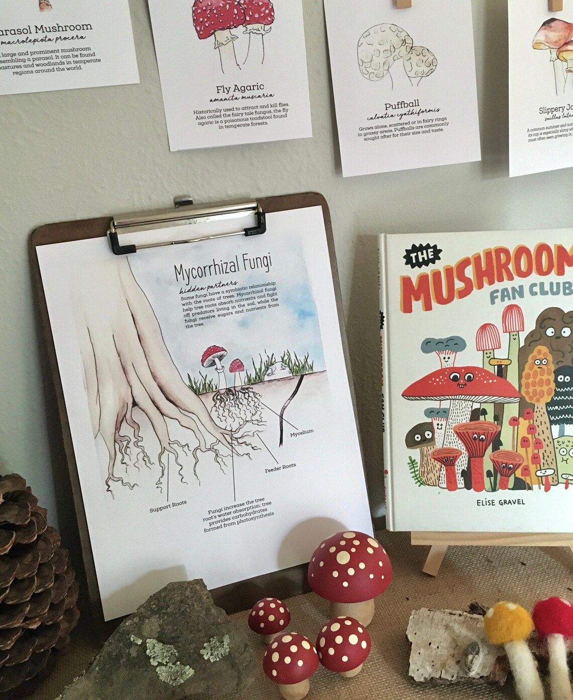 Mycorrhizal Fungi Poster Charlotte Mason Nature Printable | Etsy