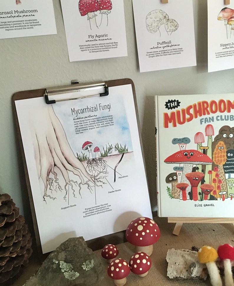 Mycorrhizal Fungi Poster Charlotte Mason Nature Printable | Etsy