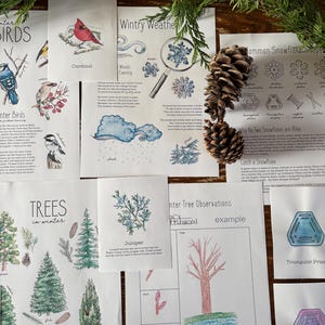 WINTER Journal - Homeschool Printable Charlotte Mason Nature Study - Etsy
