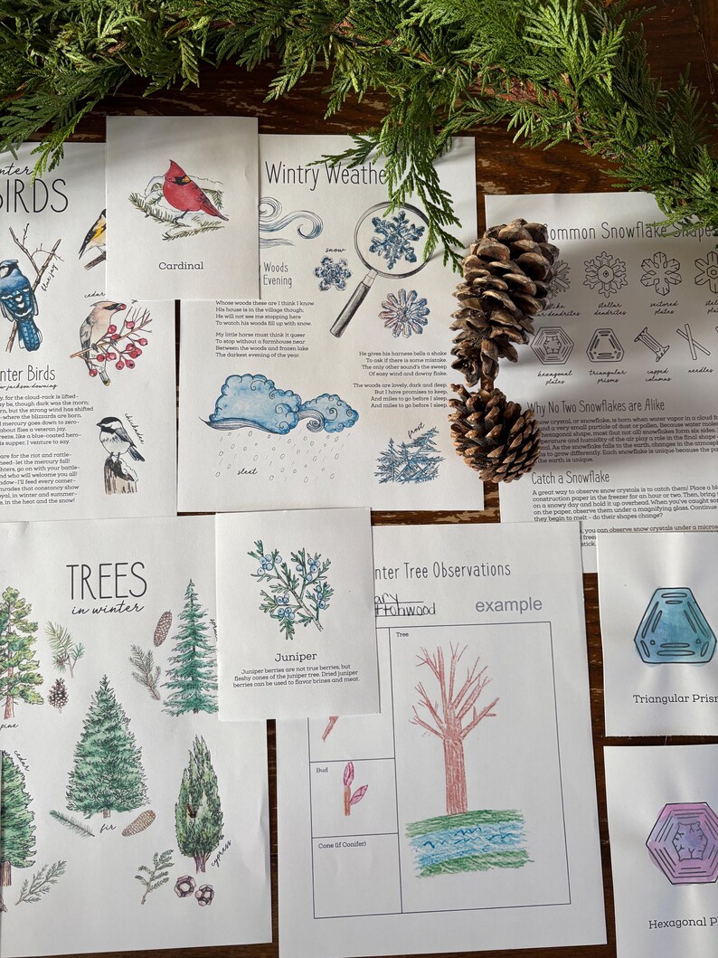 WINTER Journal - Homeschool Printable Charlotte Mason Nature Study - Etsy