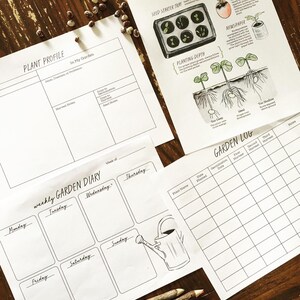 Spring Learning Bundle - Unit Study, Nature Study, Charlotte Mason - Etsy