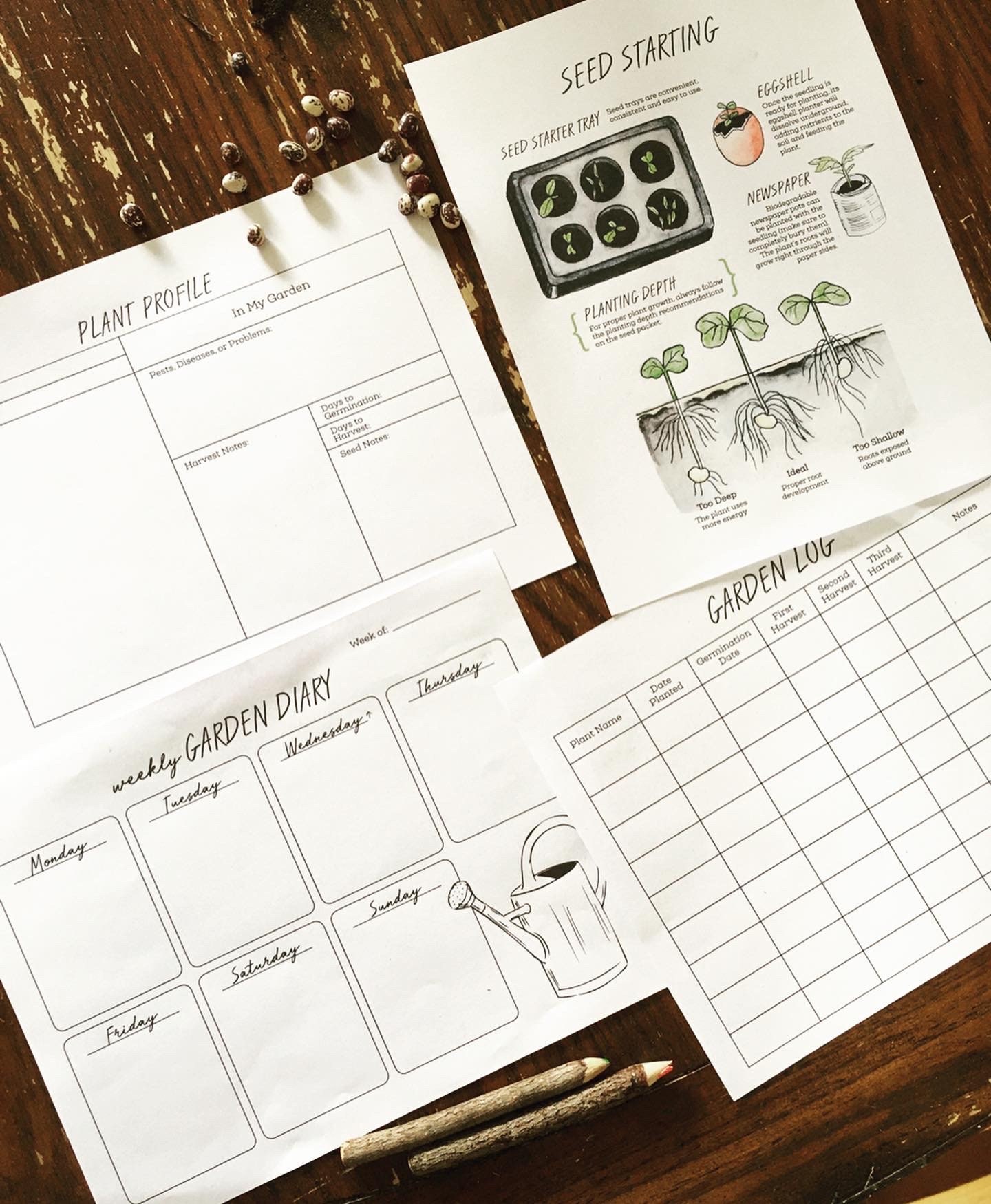 Spring Learning Bundle - Unit Study, Nature Study, Charlotte Mason - Etsy