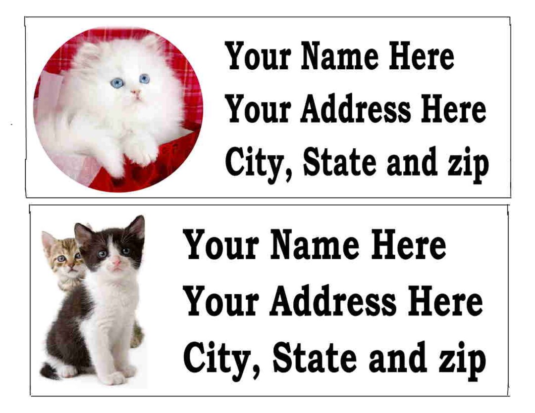 60 KITTEN Return Address Labels, Many Choices, Free Shipping - Etsy