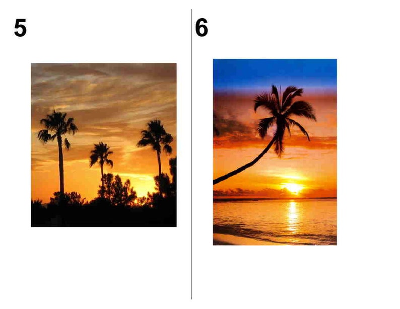 60 SUNSET AWESOME SUNSET Return Address Labels... Many Choices...free ...