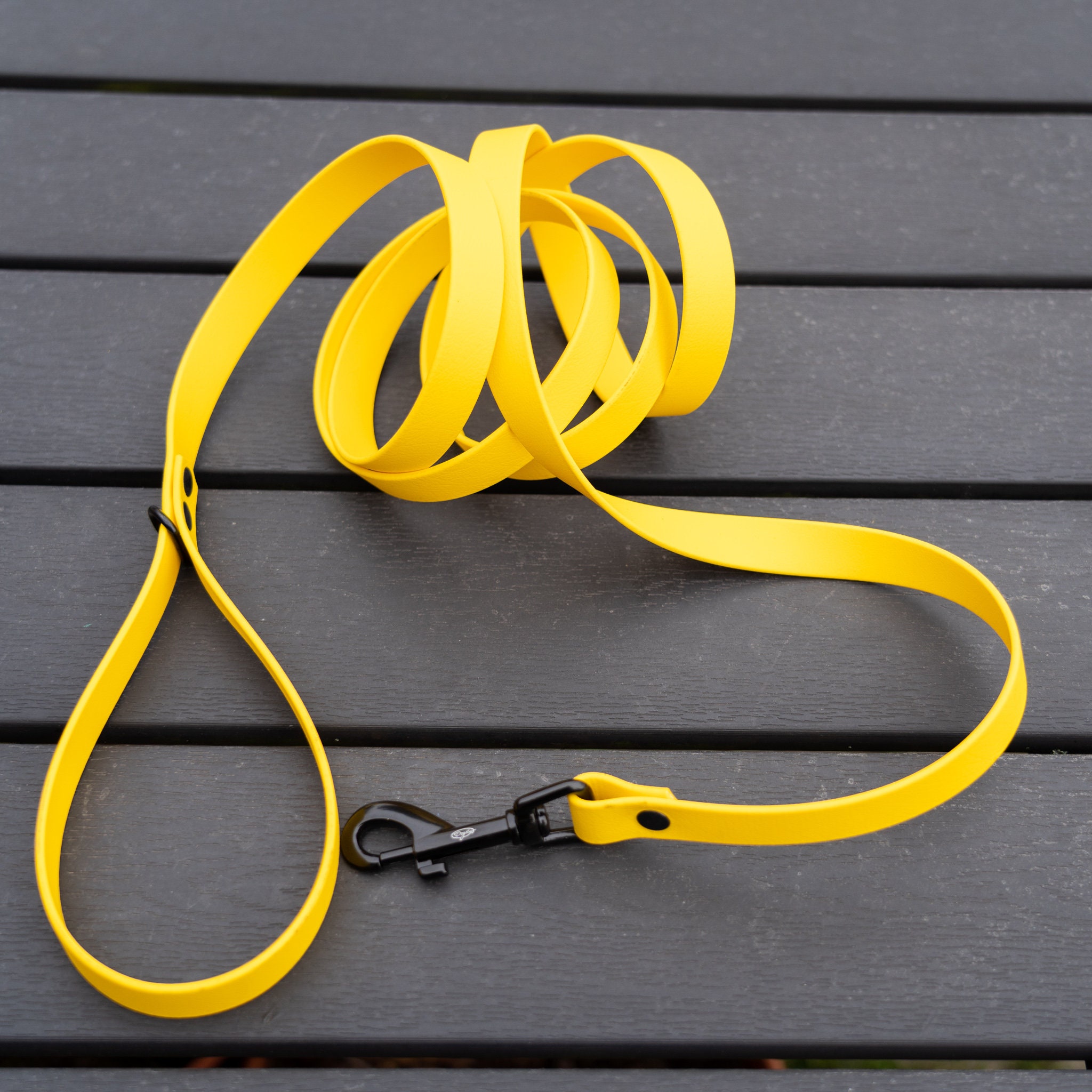 WATERPROOF LEASH Biothane Beta Mudproof Walking Lead Strong - Etsy