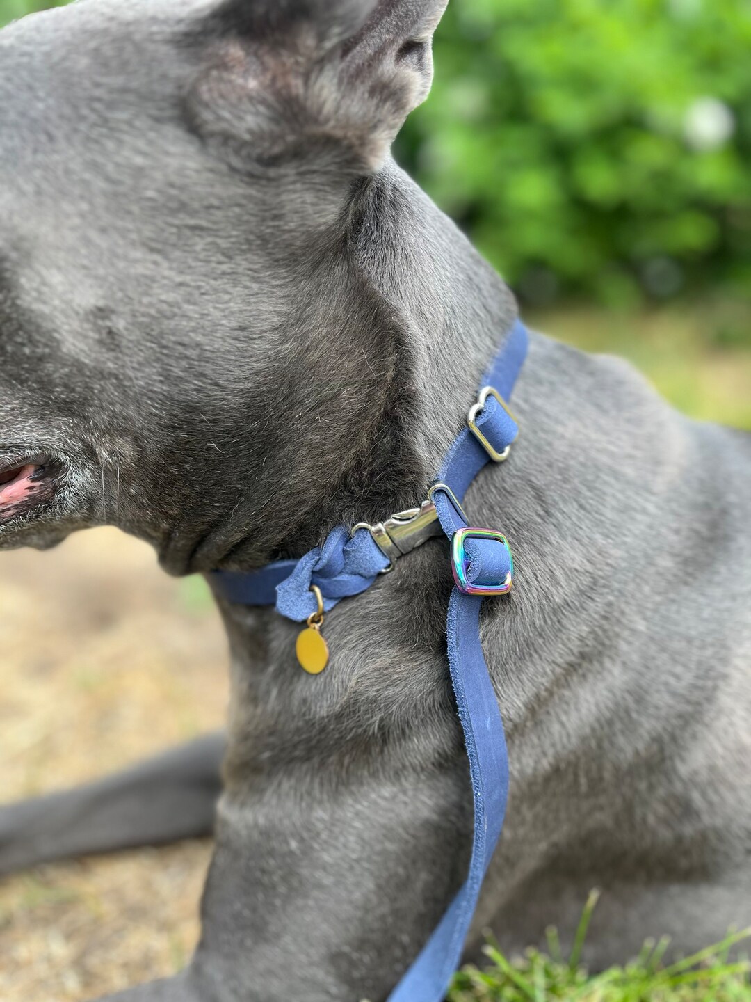 LEATHER SLIP LEAD, Quick Release Buckle Braided Dog Training Collar and ...