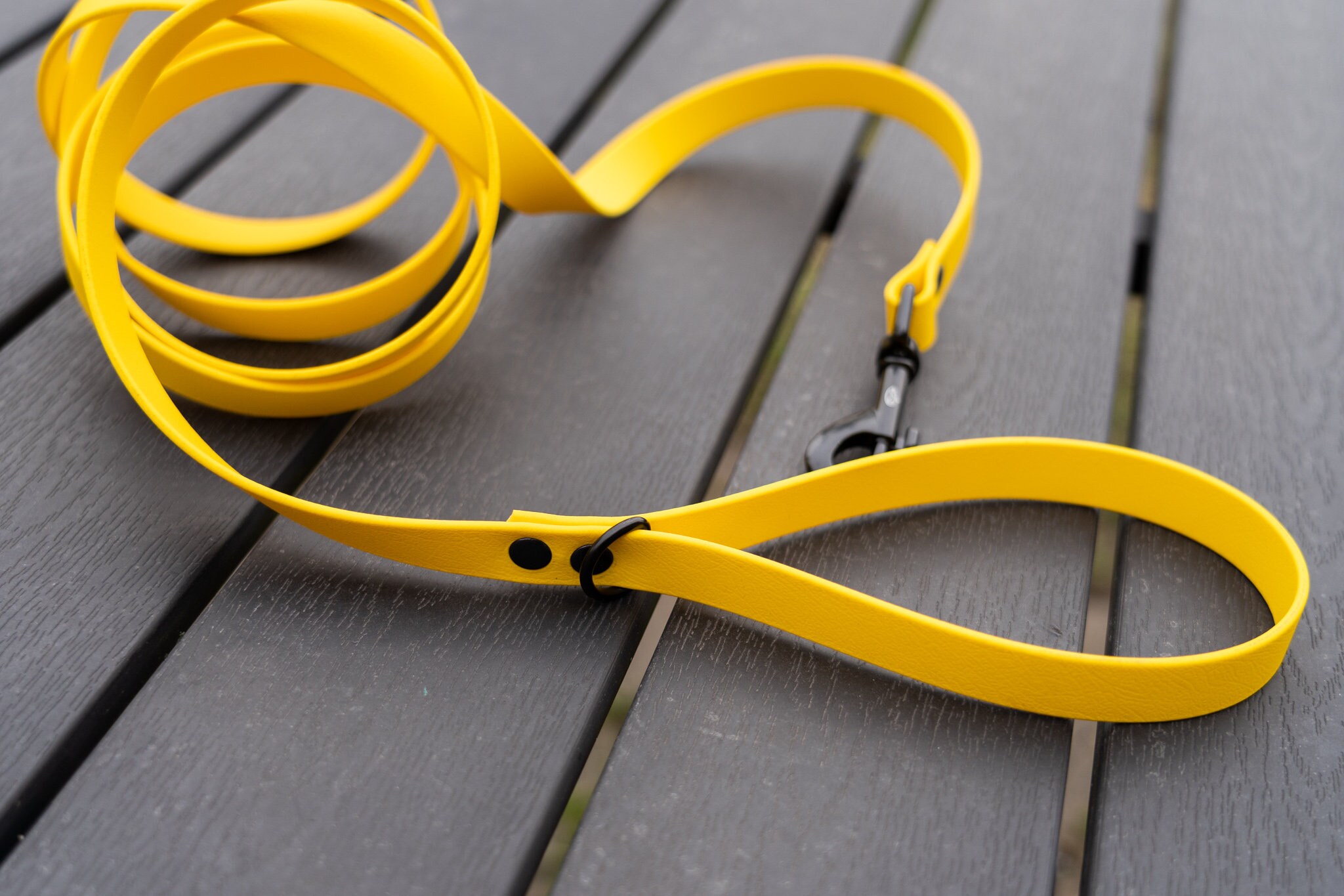 WATERPROOF LEASH Biothane Beta Mudproof Walking Lead Strong - Etsy