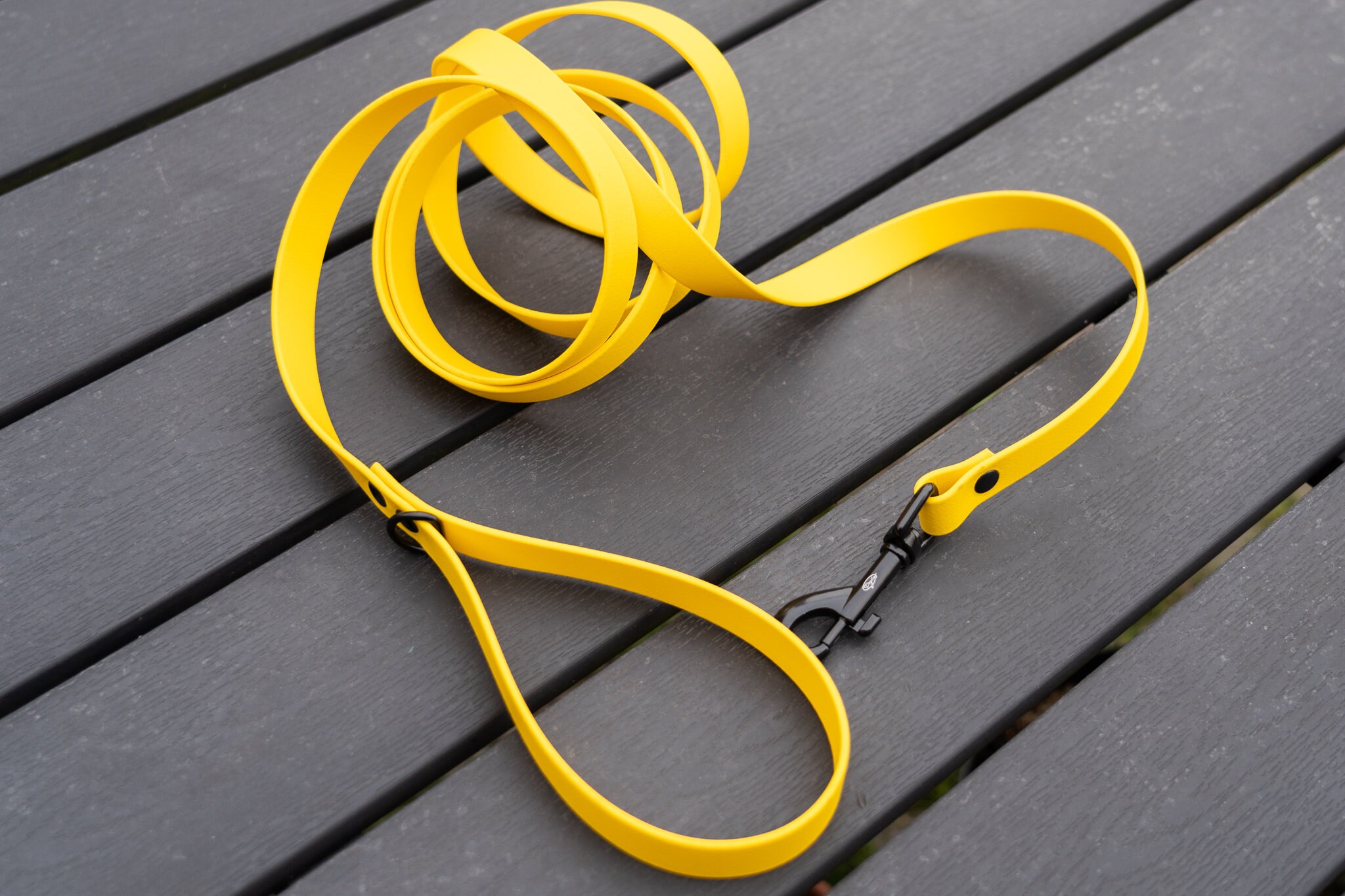 WATERPROOF LEASH Biothane Beta Mudproof Walking Lead Strong - Etsy