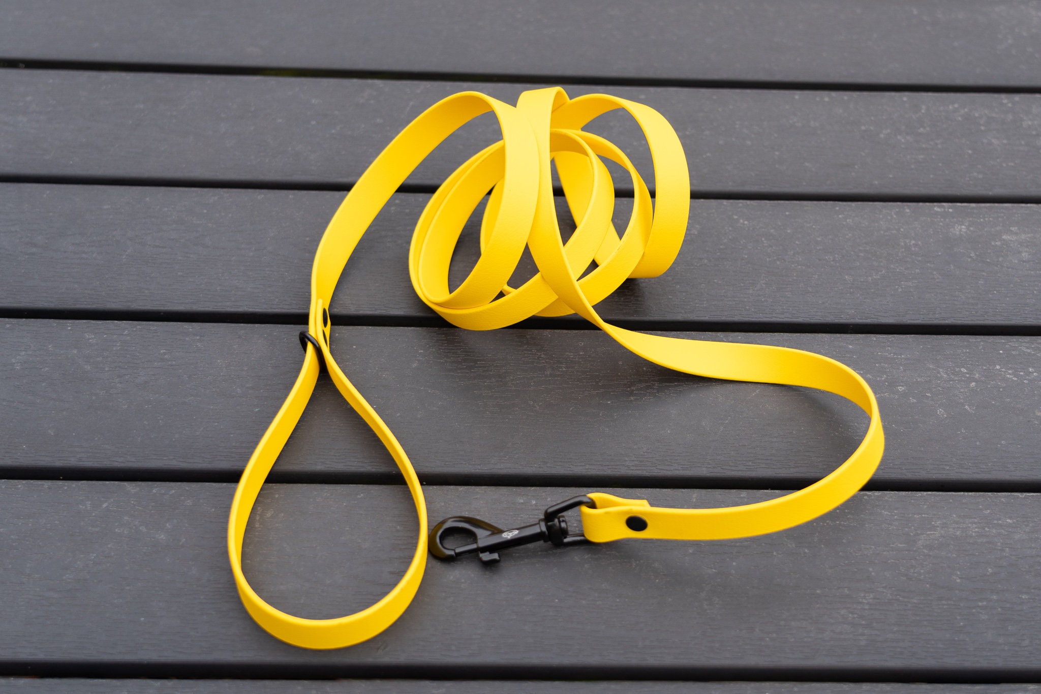 WATERPROOF LEASH Biothane Beta Mudproof Walking Lead Strong - Etsy