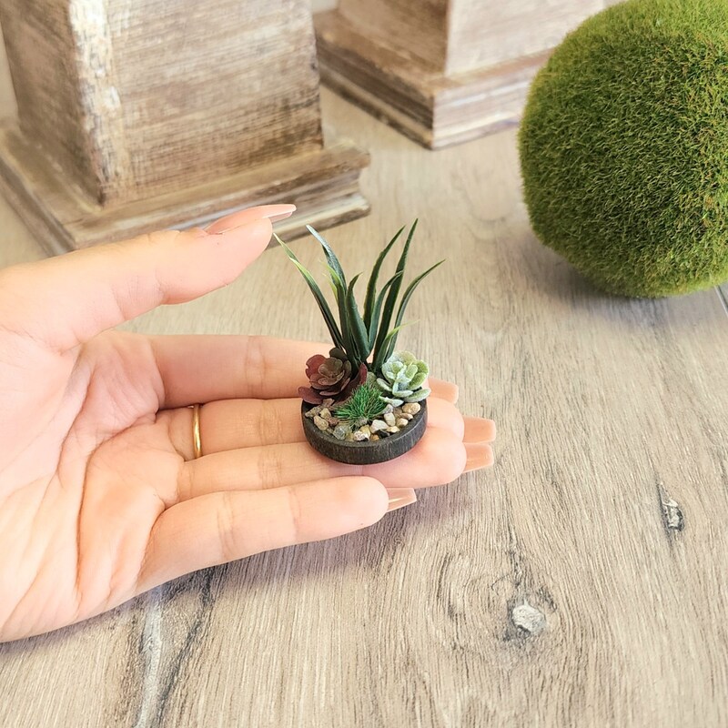 Miniature Plants - Etsy