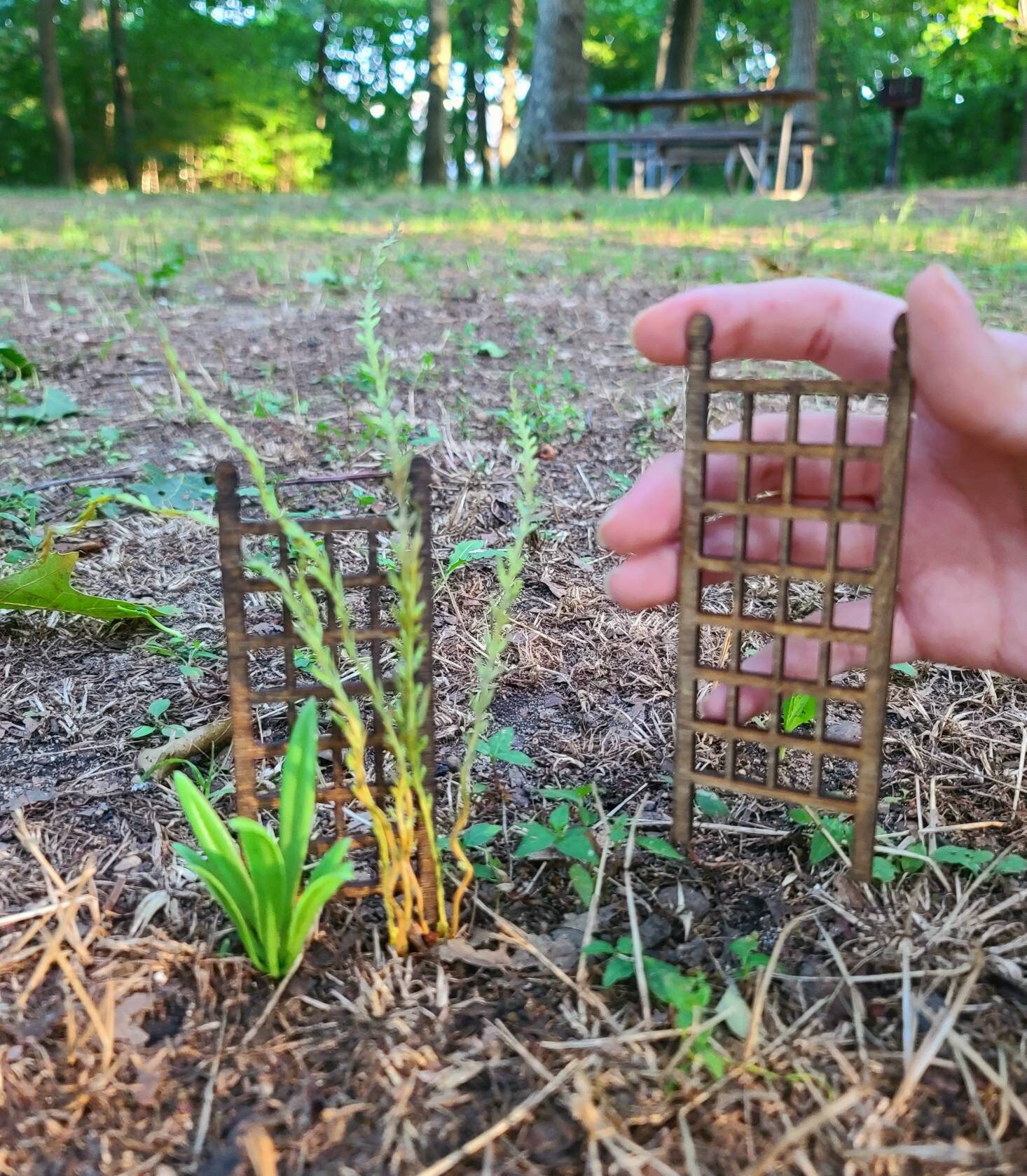 Dollhouse Miniature Trellis 2pc Dollhouse Miniatures | Etsy