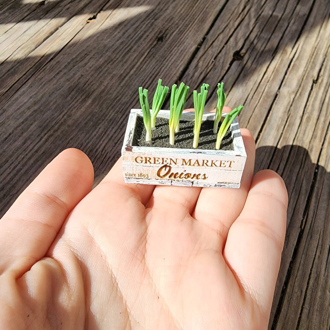 1/12 Dollhouse Miniature Fresh Leek Box - Mini Plant, Flowers ...