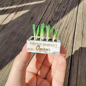 1/12 Dollhouse Miniature Fresh Leek Box - Mini Plant, Flowers ...