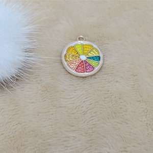 10pcs/lot Enamel Colorful Lemon Slices Charms Pendants Geometric Fruit ...