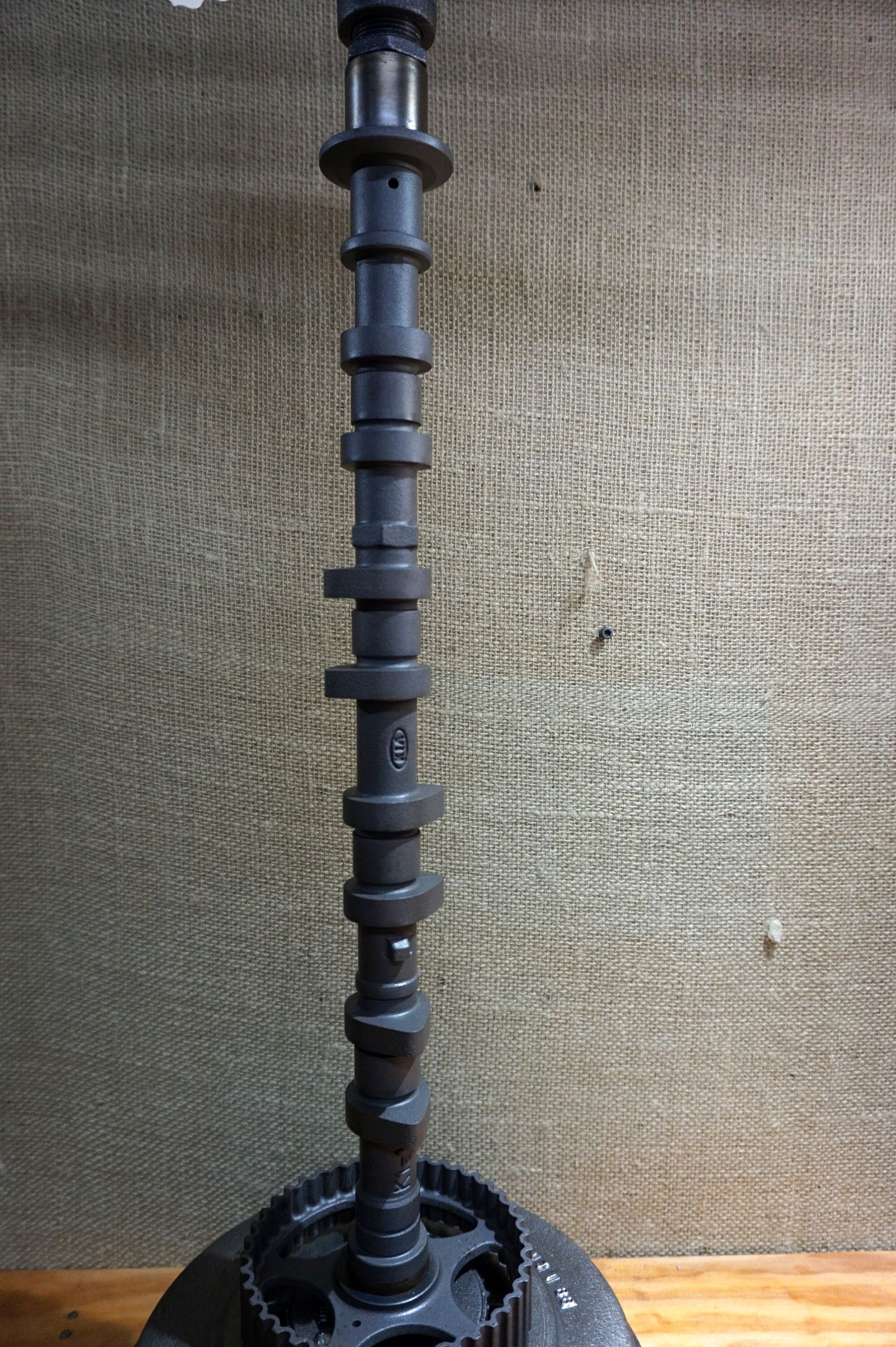 Free Standing Toilet Paper Stand Steampunk TP Stand - Etsy