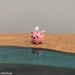 Mini Polymer Clay Flying Pig Cute Pig Charm Kawaii Charm - Etsy