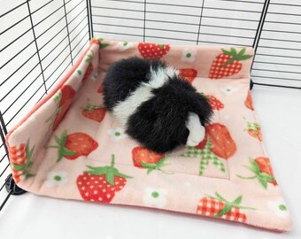 Guinea Pig Accessories - Etsy