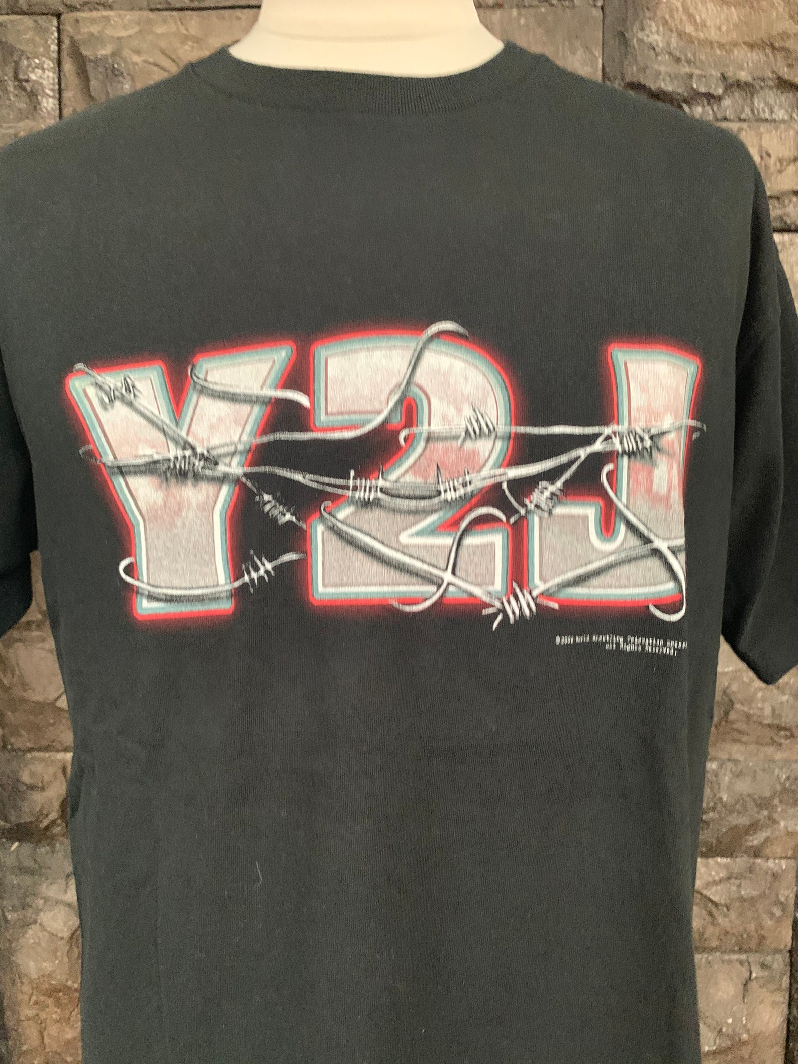 Vintage 2000 Y2J Chris Jericho Wrestling WWE Tshirt - Etsy