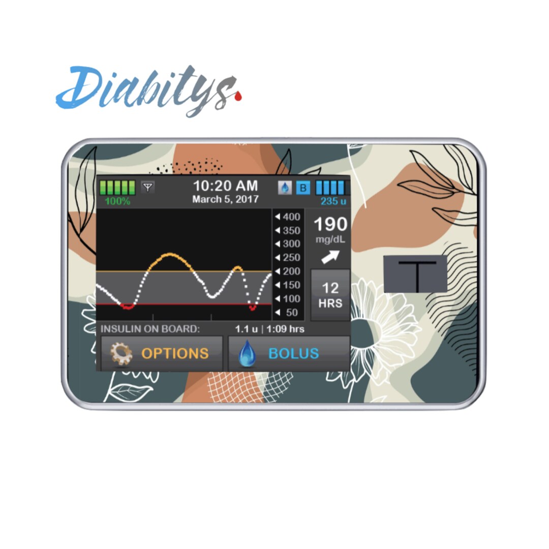 Boho T:slim X2 Insulin Pump Decal, Sticker Diabetic Stickers - Etsy