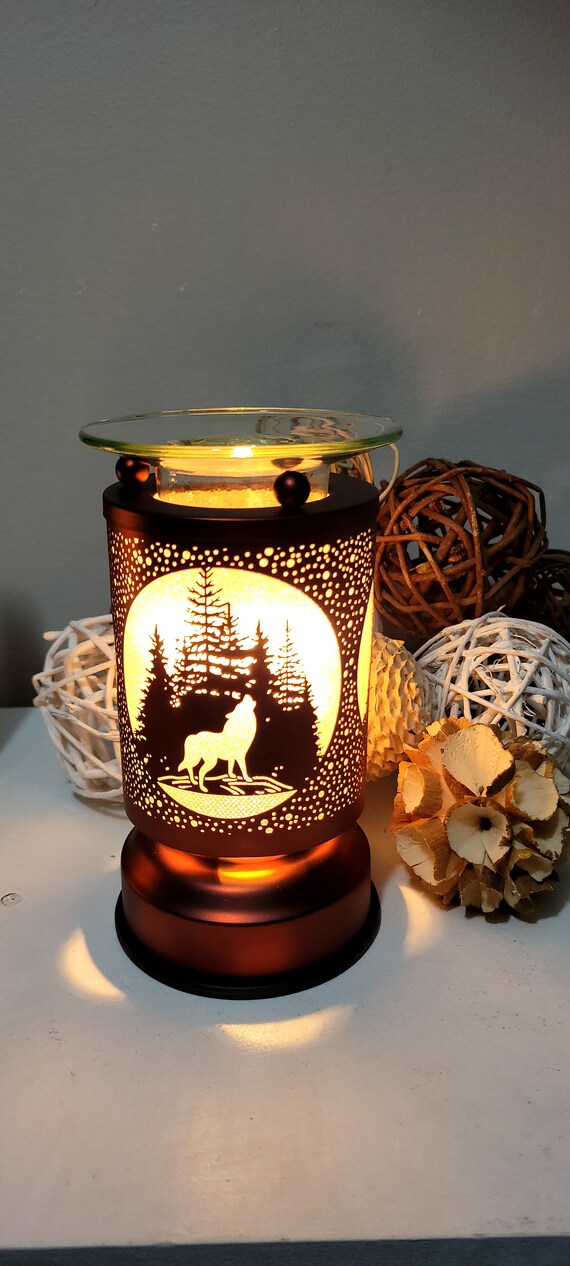 Fragrance melt warmer store