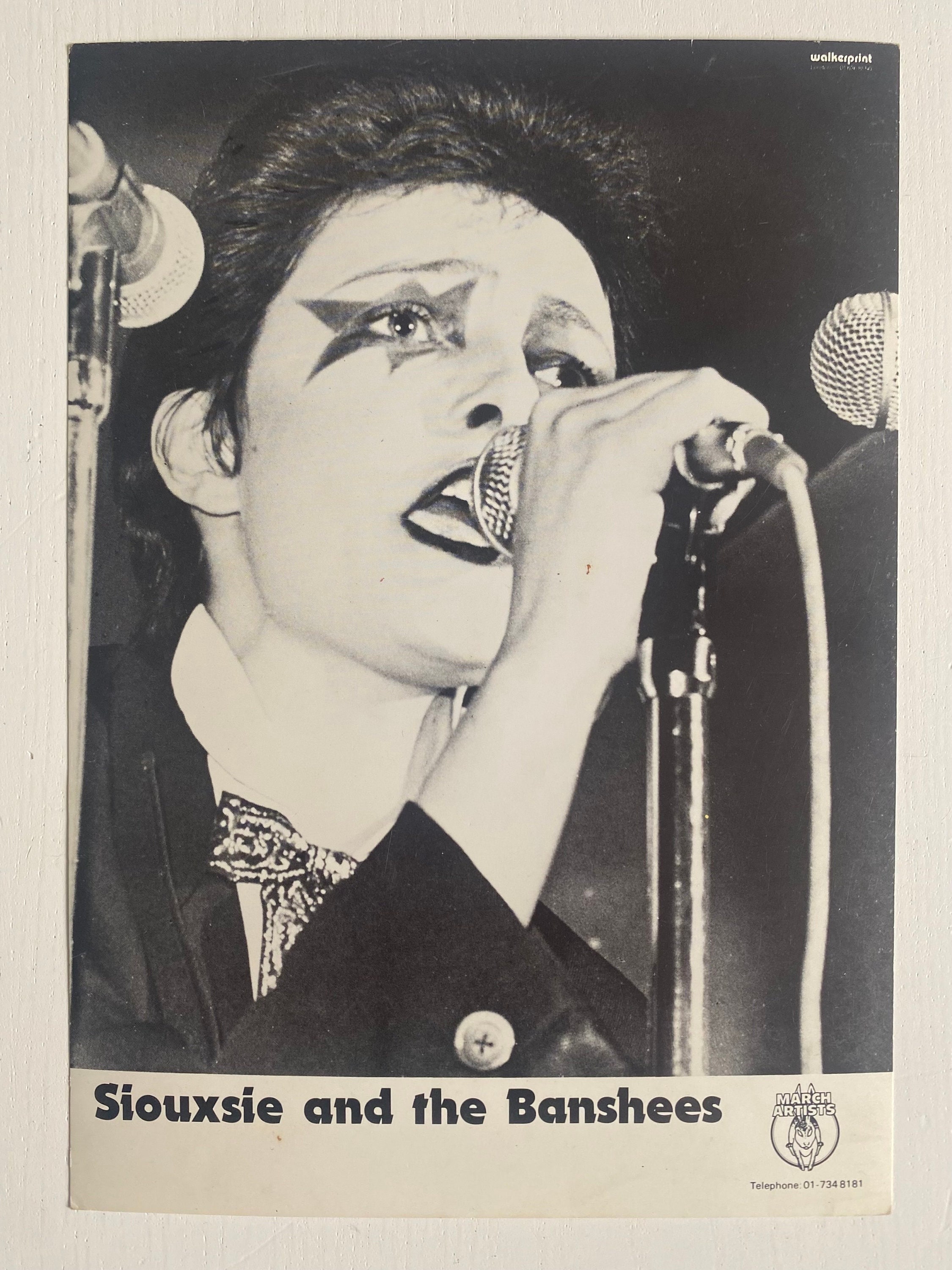 Genuine True Vintage 1977 March Artists Promo Photo Siouxsie & the ...