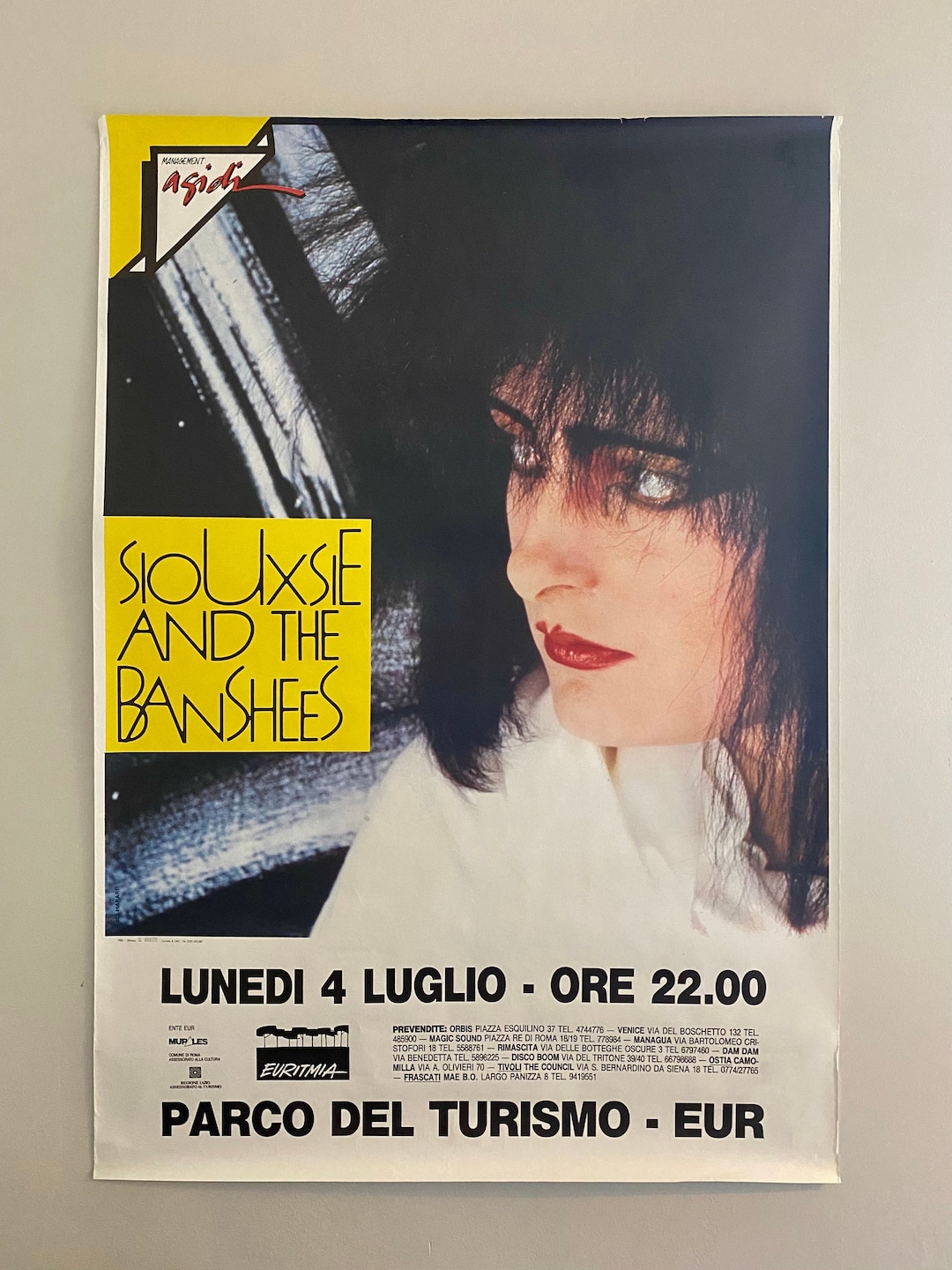Siouxsie & the Banshees Original Vintage Gig Poster Rome 1985 - Etsy