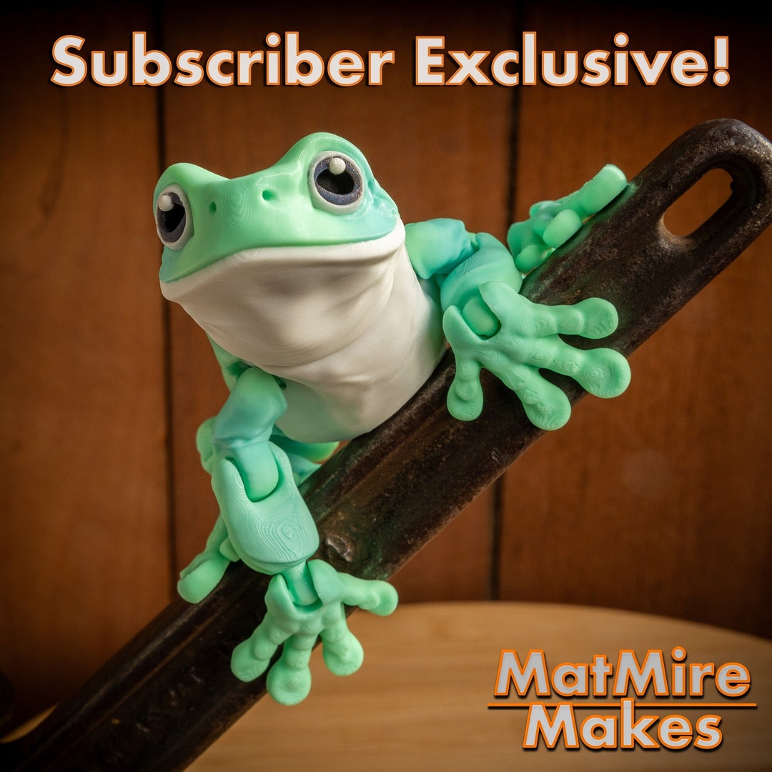 3D Printed Articulated Tree Frog! - Etsy