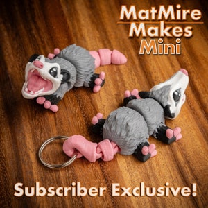 3D Printed Articulated Mini Possum! - Etsy
