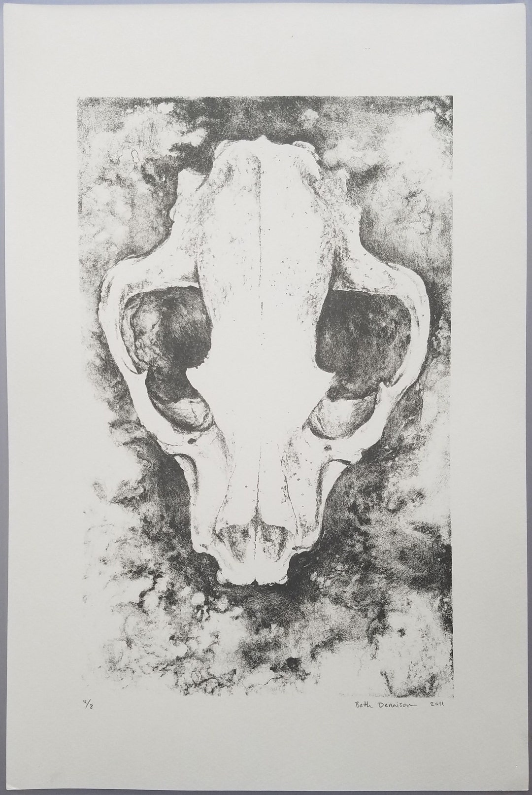 Lioness Skull B&W - Hand Pulled Lithograph Print - Original Art - Etsy