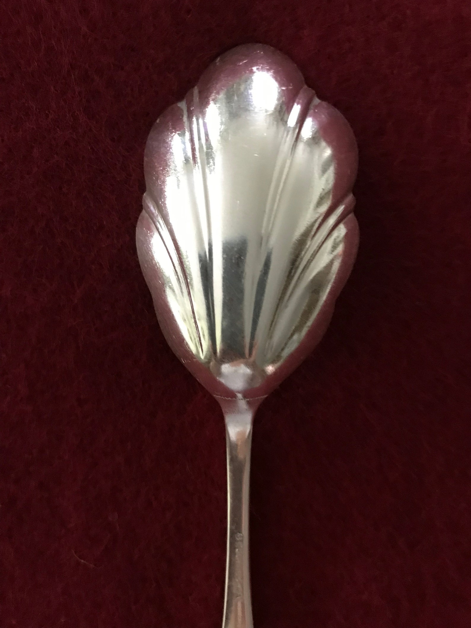 Vintage Rogers Silver Plated Shell Sugar Spoon, 1895 Tiger Lily Pattern ...